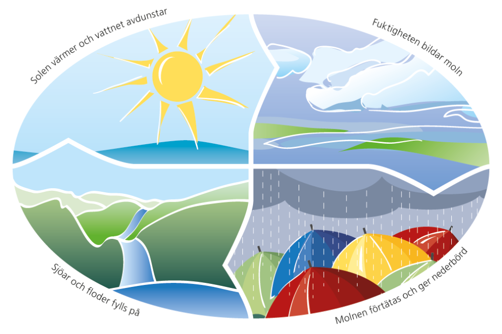 Vattnets kretslopp – Sydvatten