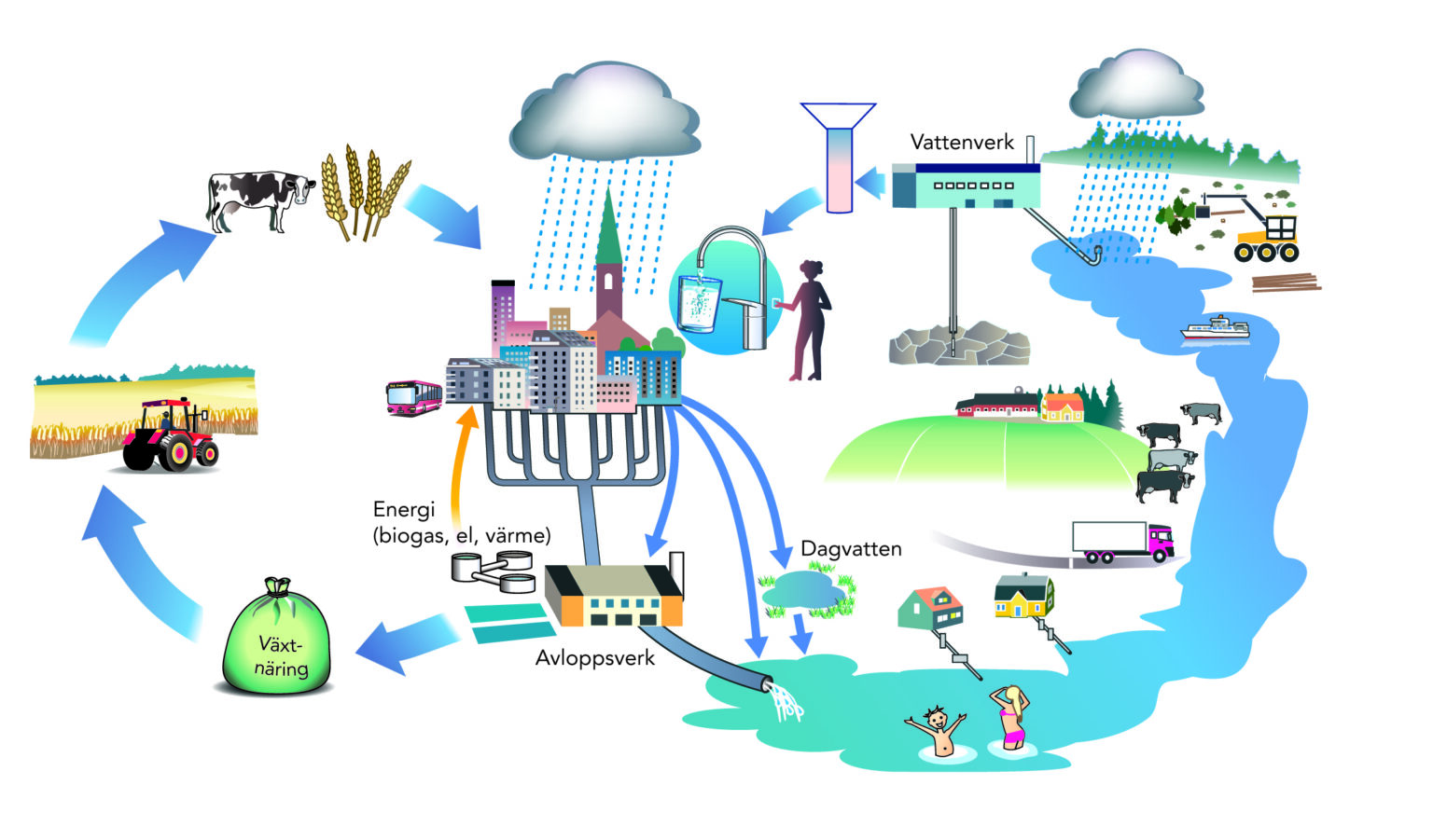 Vattnets kretslopp – Sydvatten